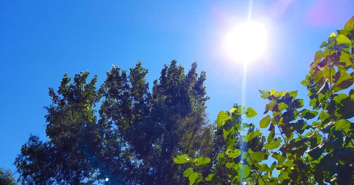 Narednih dana opet visoke temperature: U srijedu 36 stepeni