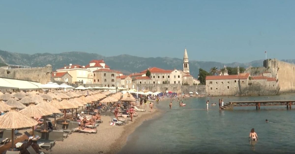 ZBBD: Tužilaštvo i policija da spriječe pipke opasne hobotnice ...